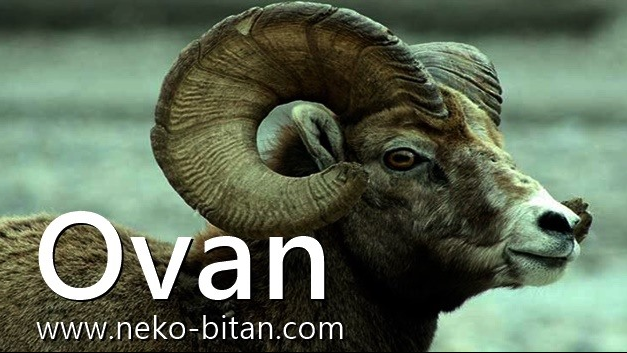 OVAN: AMBICIOZAN, nezavistan i SNAŽAN i može da bude primer drugima ...