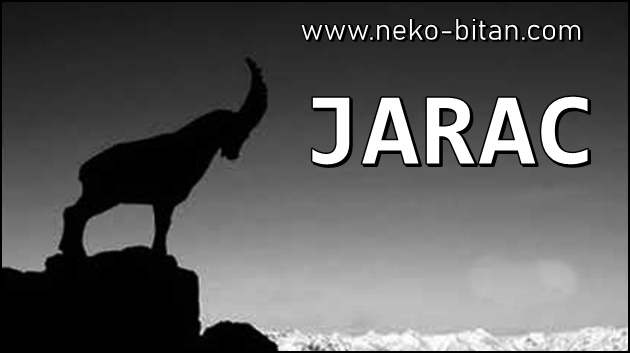 JARAC: To što je DOBAR ČOVEK, ne znači da je NAIVNA BUDALA i da sa njim ...