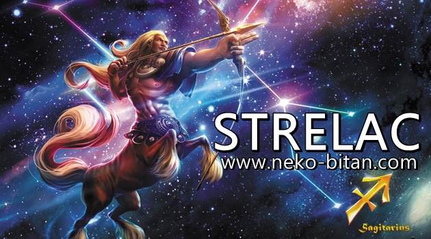 STRELAC: Iskrenu PODRŠKU pruža svima, a svoju LJUBAV samo onima koji je ...