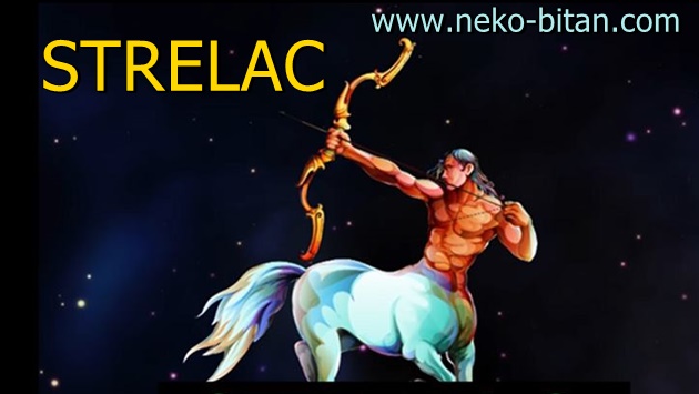 STRELAC: Svi oni koji ga POVREDE, mogu samo da ga se PLAŠE i očekuju ...