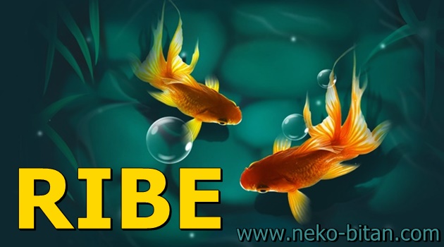 RIBE: Njih DOBROTA i njihovo VELIKO SRCE mnogo KOŠTAJU u životu, ali se ...