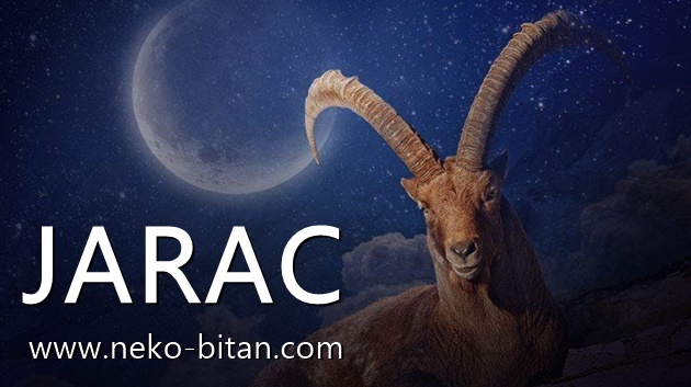 JARAC je ČOVEK ZA PRIMER - on vas NEĆE SLAGATI NIKADA! • Neko-bitan.com