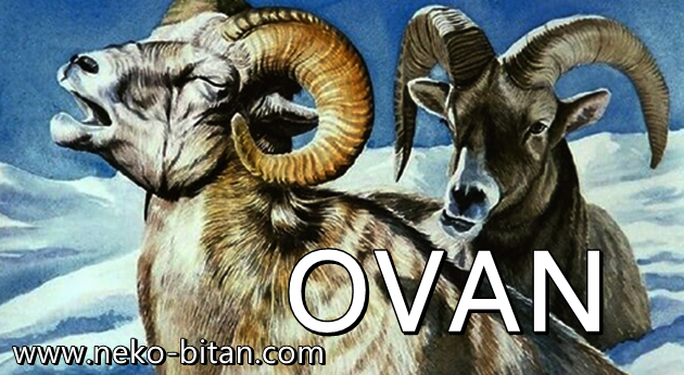 OVAN je ISKREN i PRAVEDAN i nikada vam neće naneti NEPRAVDU! • Neko ...