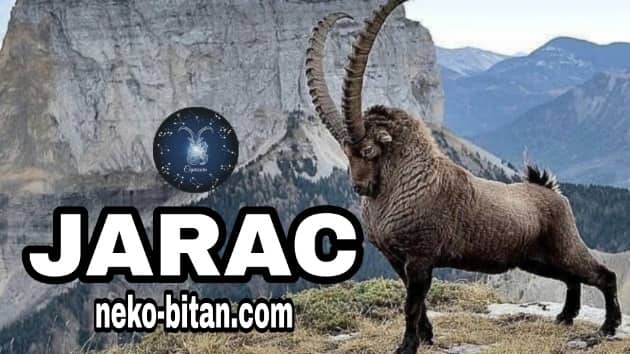 On ostvari sve što naumi - 14 stvari koje svako treba da zna o JARCU! • Neko-bitan.com