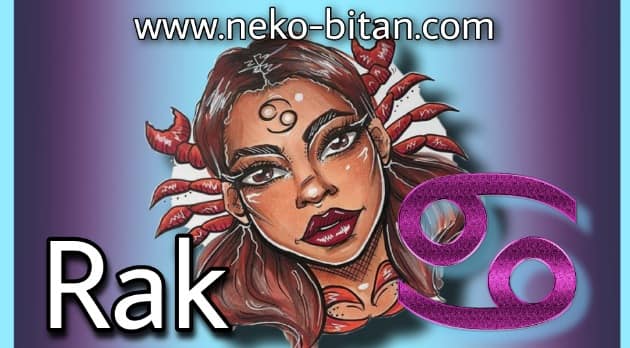 Za Raka je ljubav smisao života i to je ono čemu uvek teži – da voli i ...