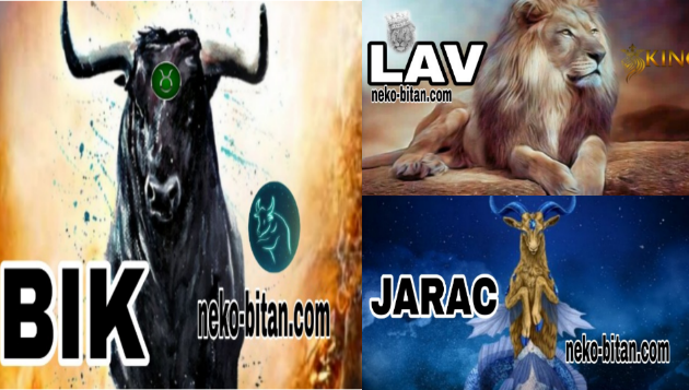 BIK, LAV I JARAC - Ovim znacima horoskopa Novembar donosi velike izazove,i promene na svim ...