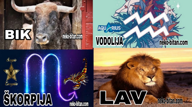 BIK, LAV, ŠKORPIJA I VODOLIJA - Ovi znaci će biti NAJSREĆNIJI U NOVEMBRU. Para i ljubavi na ...