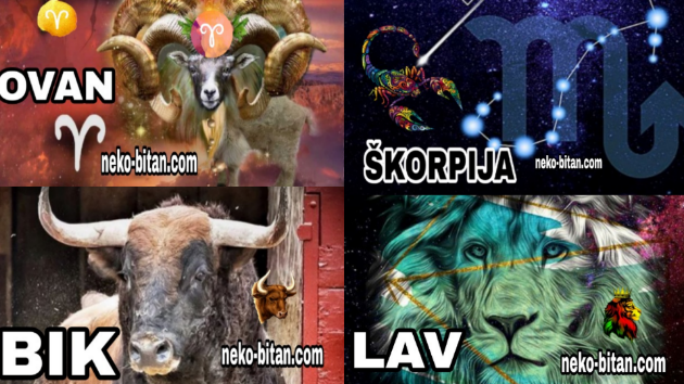 OVAN, BIK, ŠKORPIJA I LAV - Ovi znaci horoskopa su MENTALNO NAJJAČI, rođeni su da postignu ...